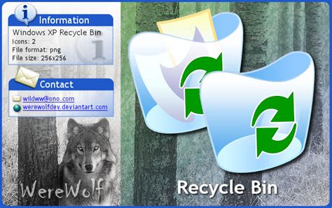 Windows Xp Recycle Bin By Werewolfdev On Deviantart