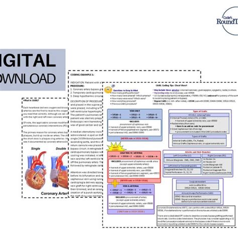 PICC Line Coding Cheat Sheet With Coding Tips Etsy