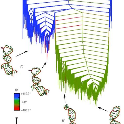 Free Energy Disconnectivity Graph For The Modified Stem Loop The Free