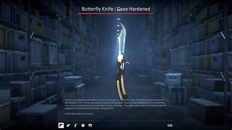 Butterfly Knife Case Hardened Blue Gem Pattern Guide