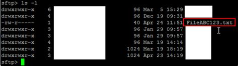 Synchronous Retrieval Of Dynamically Specified Fil Sap Community