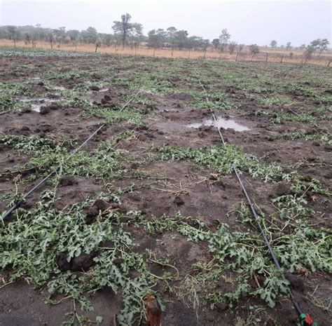 Annette Mutetwa Posted On Linkedin