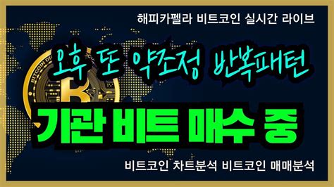 비트코인 실시간 트럼프 비트코인 100btc 법안 이더 상승 중 불장오나 528 아침💎비트코인 비트코인실시간 이더리움 리플 Cryptocurrency