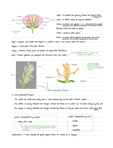 SOLUTION Cie Igcse Biology Section 16 Reproduction Studypool