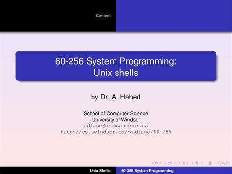 Pdf 60 256 System Programming Unix Shellskobtimywebcsuwindsorca