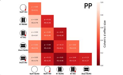 Heatmap Showing Cohens D Effect Sizes ES And P Values P Of The Download Scientific Diagram