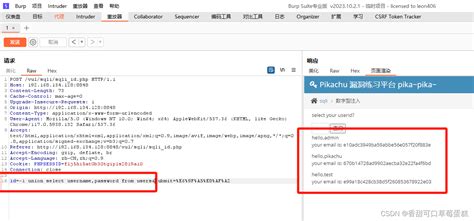 Pikachu 靶场 Sql 注入通关解析pikachusql注入闯关 Csdn博客