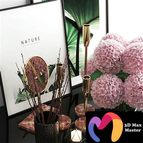 Set354 Hydrangea Red 3dmaxter