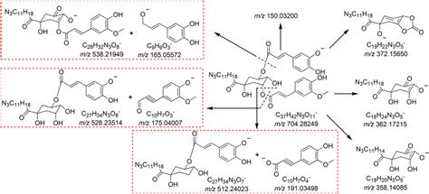 The Proposed − Esi Q Tof Ms Ms Fragmentation Pathway Of Download Scientific Diagram