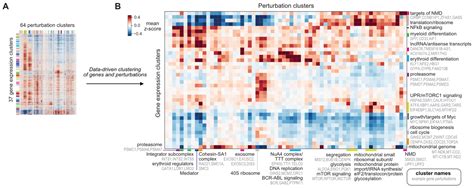 Genotype Phenotype Maps By Elliot Hershberg