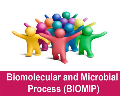 Research Group Faculty Of Chemical And Energy Engineering