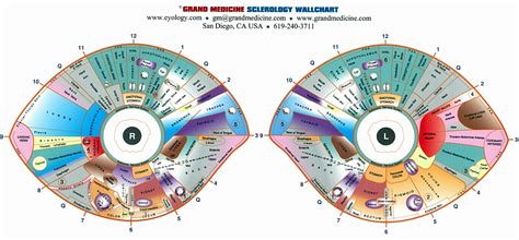 Authentic Eastern Health Iridology