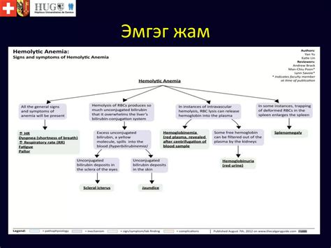 цус задрах хам шинж Pptx