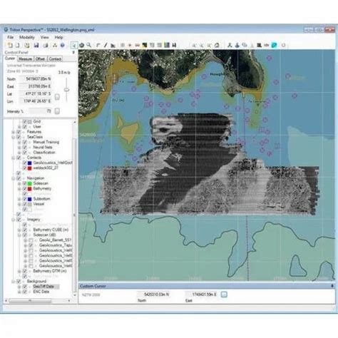 100 Version Processing And Interpretation Software Services Rs 600