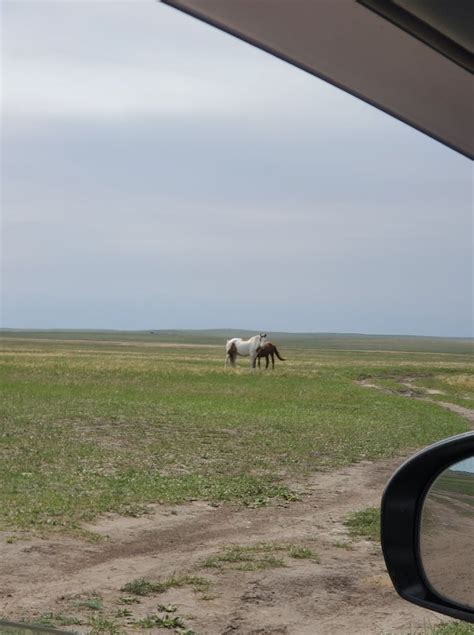 Сүхбаатар аймгийн Бүх Төрлийн Нэгдсэн зарын грүпп