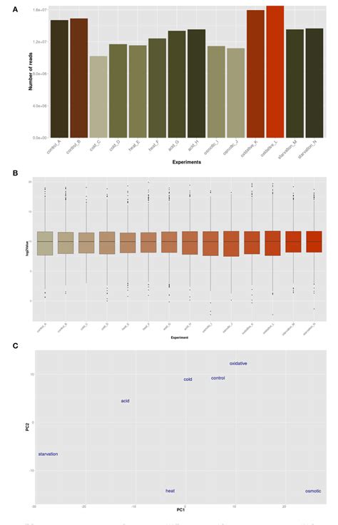 Figure 1 From Early Transcriptome Response Of Lactococcus Lactis To