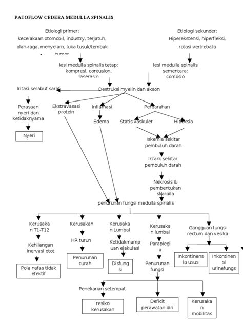 Patofis Cedera Medula Spinalis Pdf