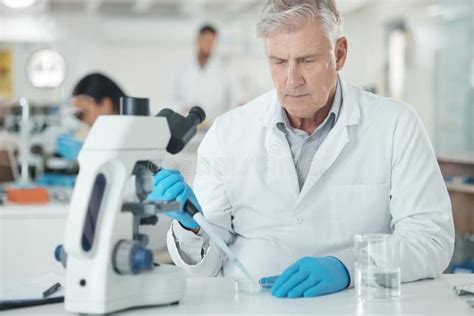 Scientist Man And Sample With Microscope In Lab Of Disease Experiment