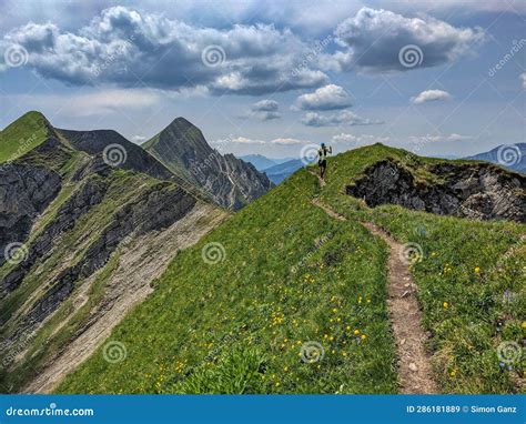 Trail Running On The Hardergrat Hiking On The Harder Ridge