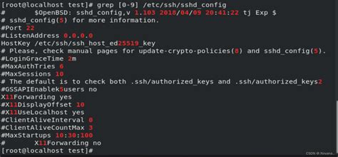 linux操作系统的题目联系及解析（二） 查找etc目录下以hosts开头的文件 csdn博客