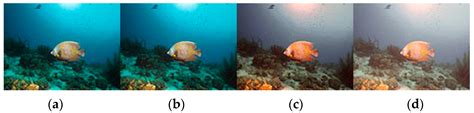 A Fusion Underwater Salient Object Detection Based On Multi Scale Saliency And Spatial Optimization