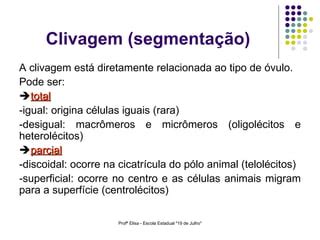 Embriologia Ppt Infertility Reproductive Health