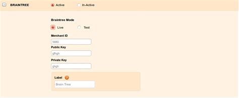 Braintree Payment Gateway Integration Invoicera