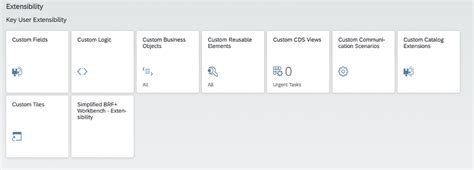 Which S 4hana Extensibility Options Should I Use A Sap Community