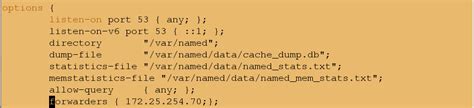 linux之dns正反向解析、辅助dns的配置及远程更新 dhcp 触发反向解析 csdn博客