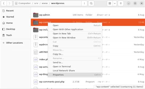 Fix File Permission Issue In Apache Website WordPress Not Writable To WordPress Theme