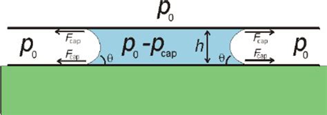 The Pressure Inside A Liquid Plug Is Lowered Due The The Tensile