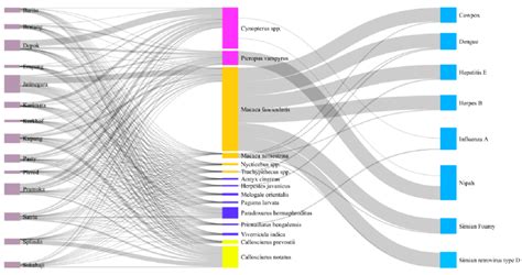 Sankey Network Diagram Illustrating The 14 Surveyed Wildlife Markets Download Scientific