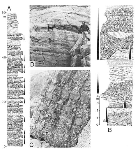 Successions Of Braided Stream Conglomerates Examples Show A