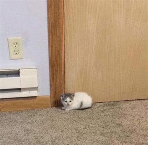 Just The Tiniest Of Tiny Scrolller Just The Tiniest Of Tiny Scrolller