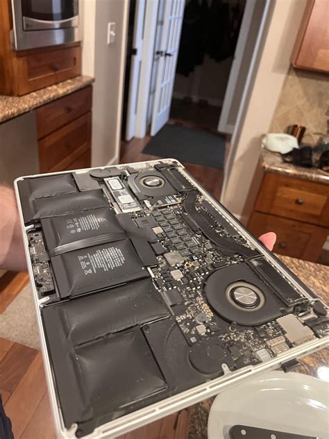 Rip My Old Macbook Rspicypillows