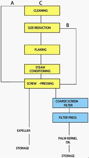 Palm Kernel Oil Extraction Amisyoilpress