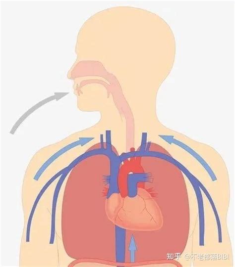 号称“gps”的干细胞，是如何开展工作的？ 知乎