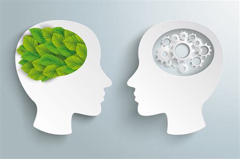 Neurosexism Its A Thing Noesis Learning Inc