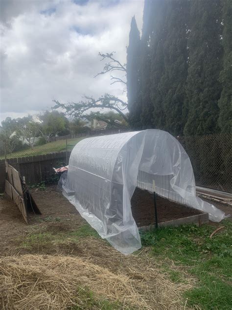 An Aquaponic Greenhouse In The Making Rsolarpunk