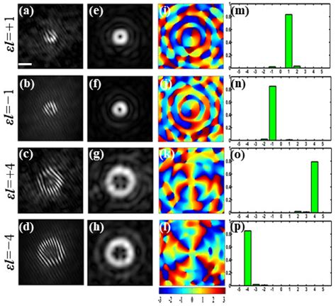 Recovery And Characterization Of Orbital Angular Momentum Modes With