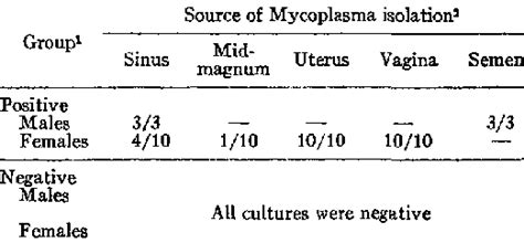Laboratory Experiment 1 Isolation Of Mycoplasma Meleagridis From