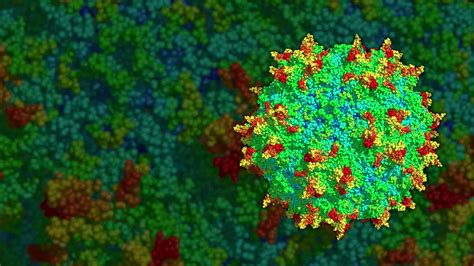 Ahmar Aziz On Linkedin Aav Capsid Engineering