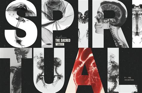 55 Immortal X Ray Print Posters Graphics Youworkforthem