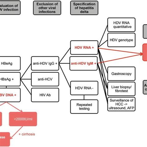 Suggested Algorithm For The Diagnosis And Treatment Of Hepatitis Delta Download Scientific