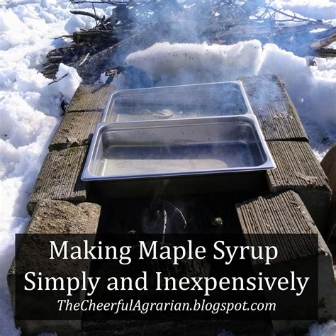 The Cheerful Agrarian Making Maple Syrup Simply And Inexpensively