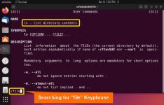 The Man Command In Linux 6 Practical Examples