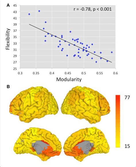 A The Relationship Between Modularity And Flexibility Across 52