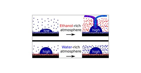 Influence Of The Atmosphere On The Wettability Of Polymer Brushes Langmuir
