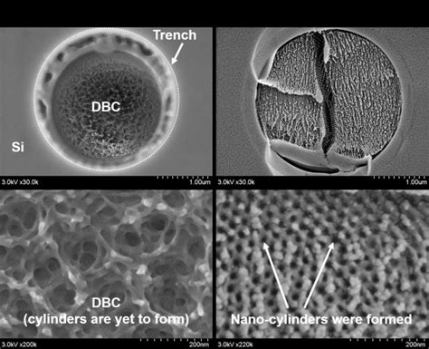 Plane View Sem Images Obtained Before And After The Dsa Of Ps B Pmma