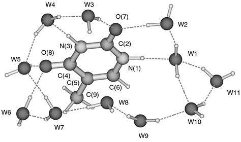Uracil Vs Thymine Structure